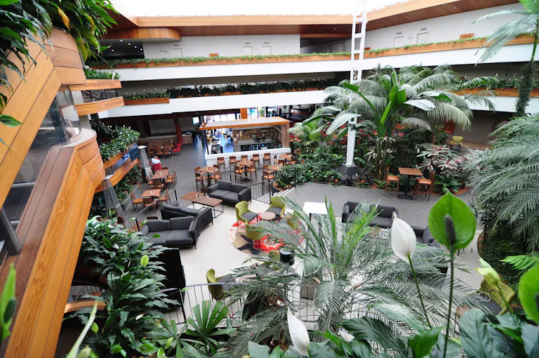 Canberra Accommodation | Pavilion Hotel Canberra