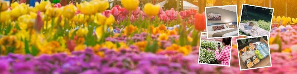 Hotel accommodation packages near Floriade Canberra | Pavilion Hotel